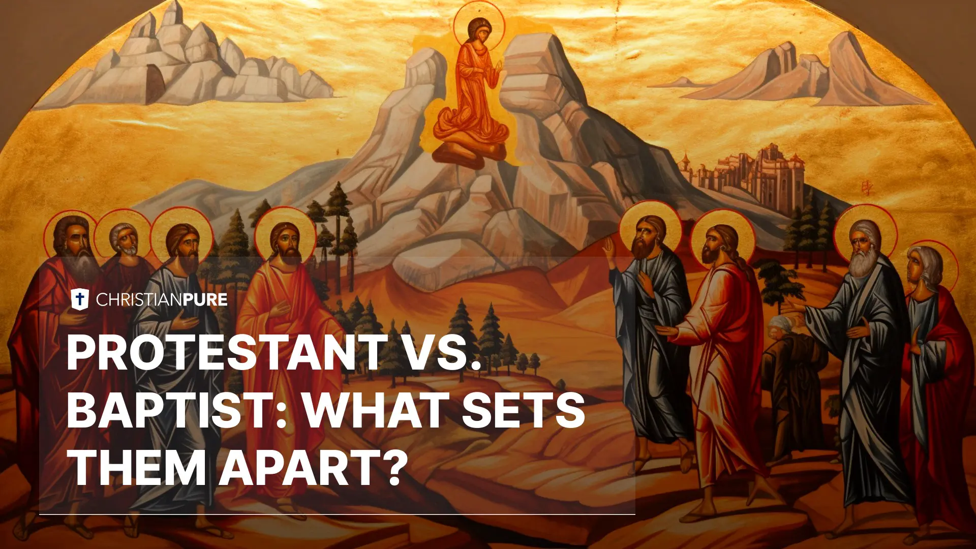 Protestant vs. Baptist: What Sets Them Apart? | Christian Pure