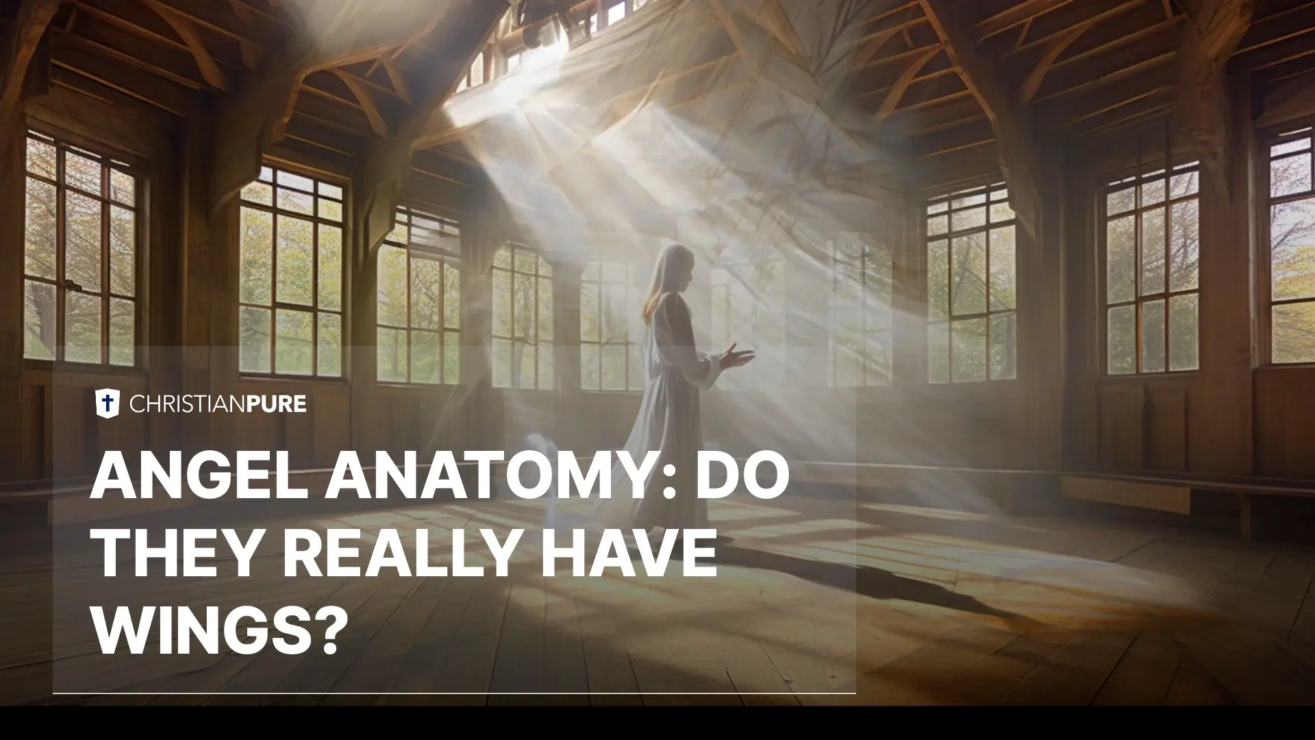 65898f08bc5d57c0083e8283_Angel-Anatomy-Do-They-Really-Have-Wings-1920 ...